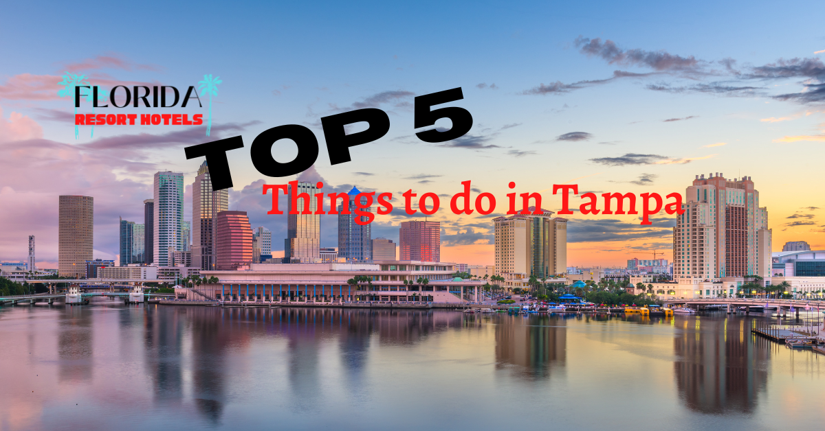 Top 5 Things to do in Tampa - Florida Resort Hotels